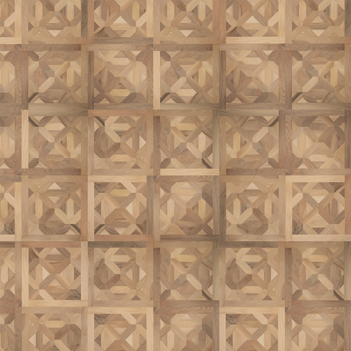 Leonardo - ALI GALLERY